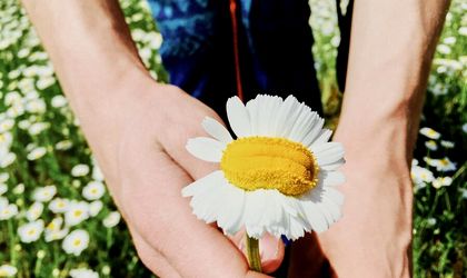 ING customers donate over EUR 150,000 to social causes through Home ...