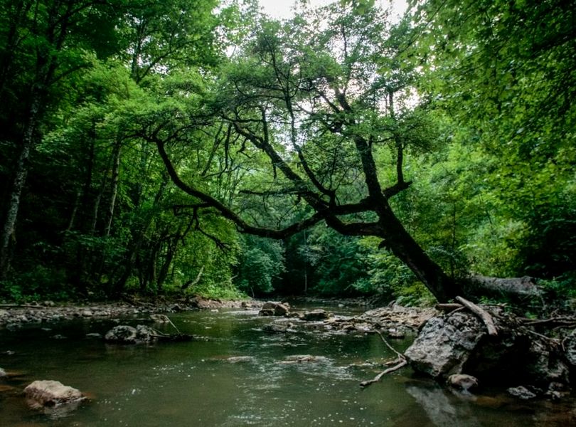 The hidden paradise to visit when you're in Romania: Varghis Gorges ...